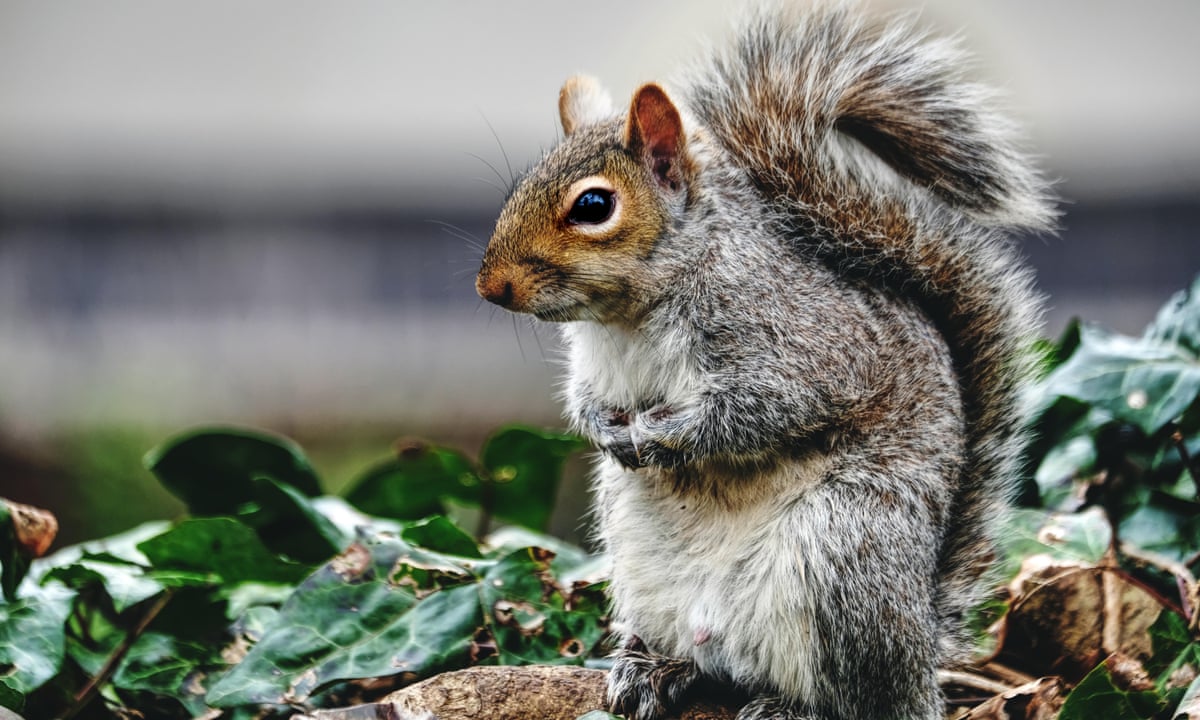 My Backyard Genius – Jordans-Journey